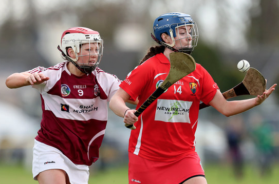 Conlon Interim CEO at Camogie - Sport for Business