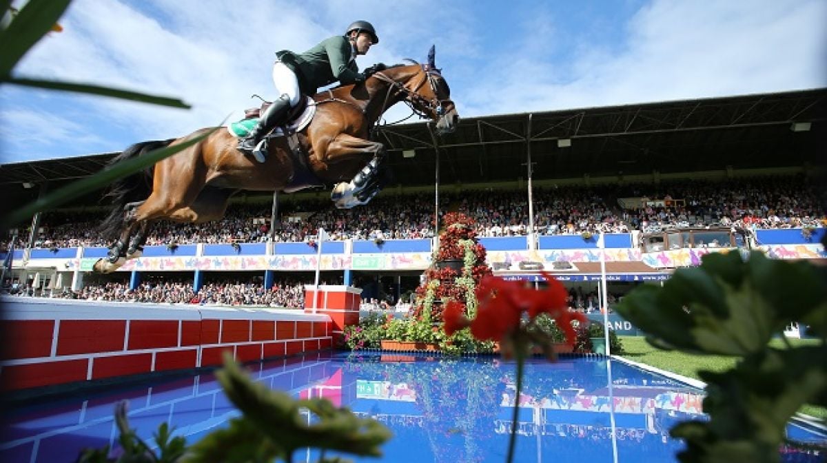 RDS Dublin Horse Show Worth €50 Million to Local Economy - Sport for ...