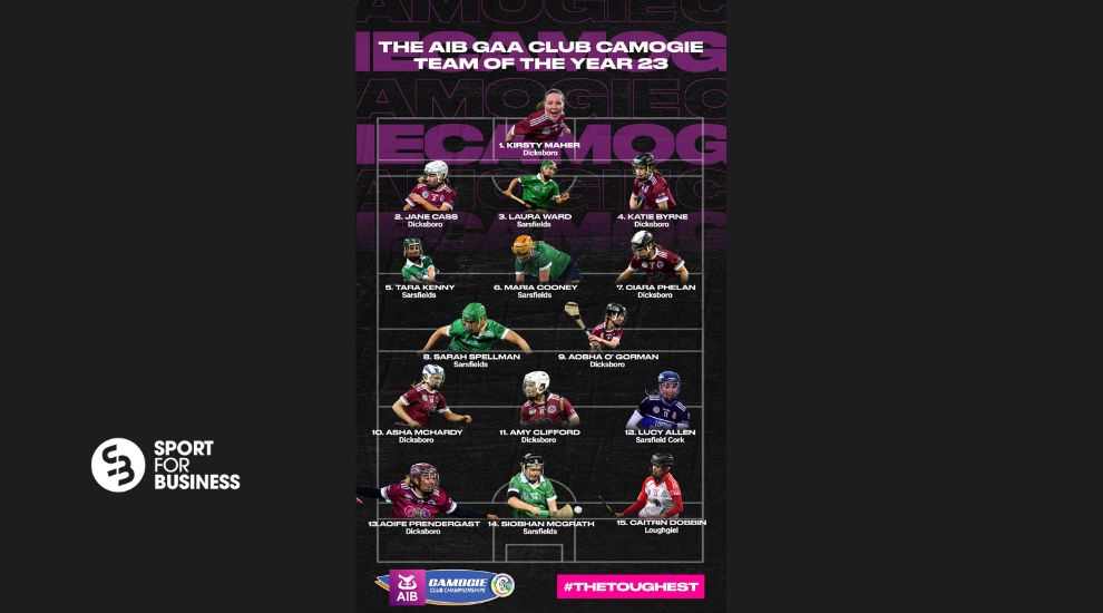 AIB Camogie Club Team of the Year Named - Sport for Business