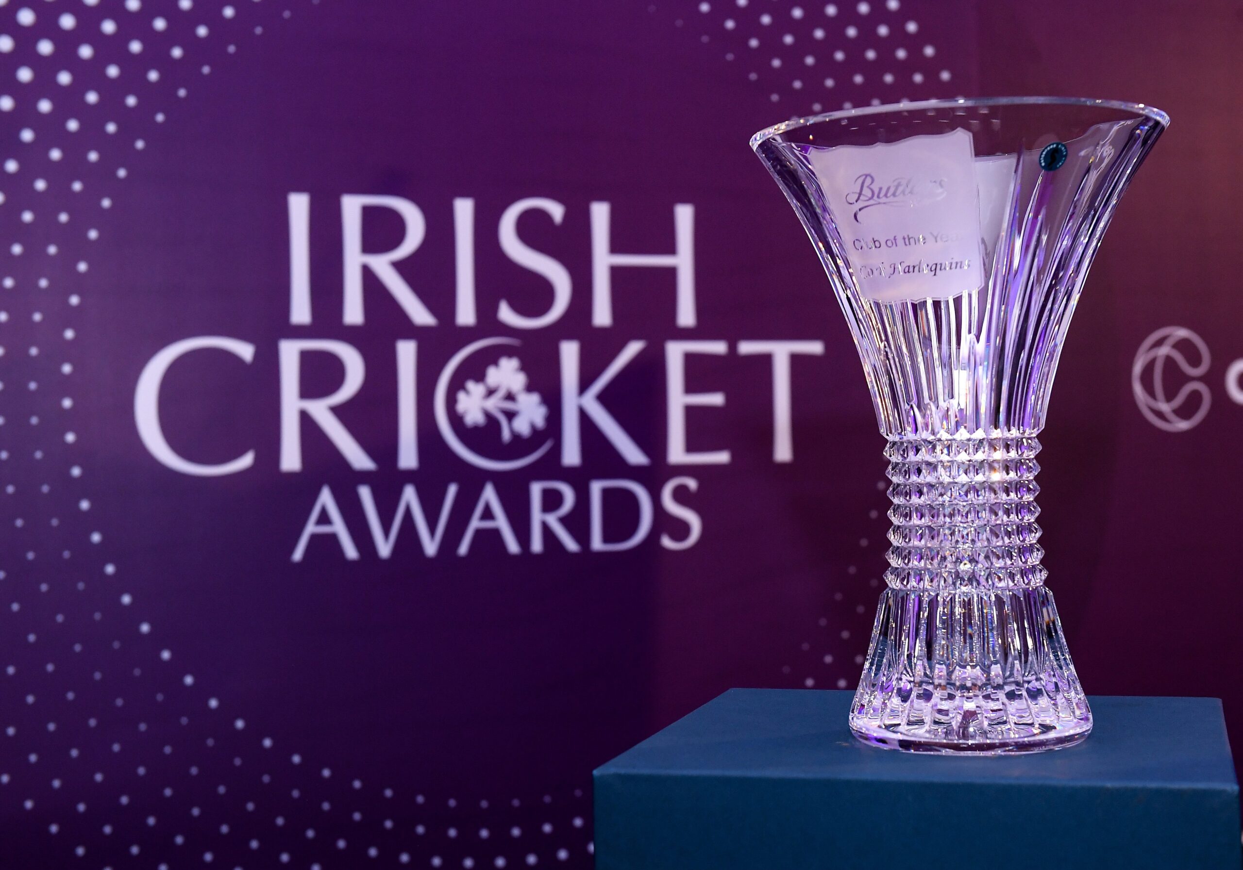 Irish Cricket Stars to Shine at Friday's Annual Awards - Sport for Business