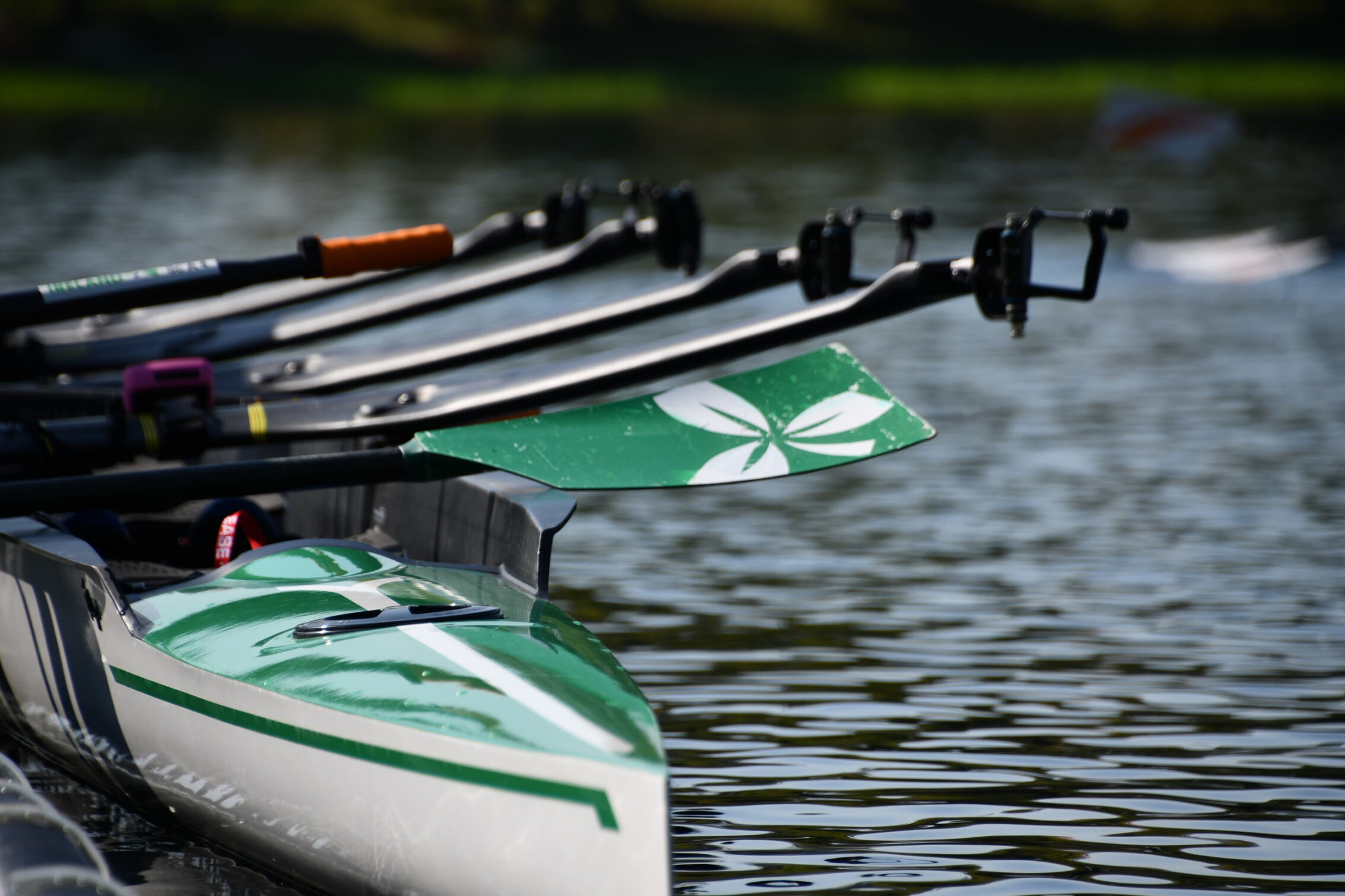 Rowing Ireland at the 2025 World Rowing Championships in Shanghai ...